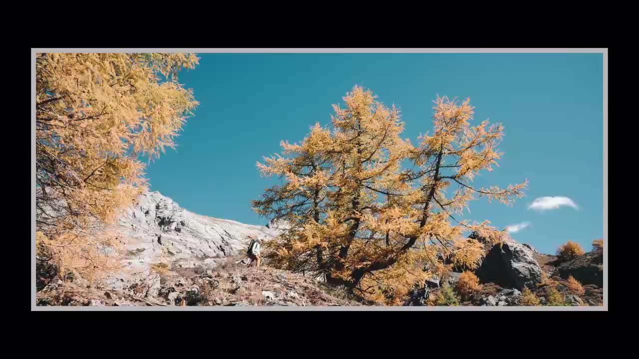 1126视频11 - COS.TV