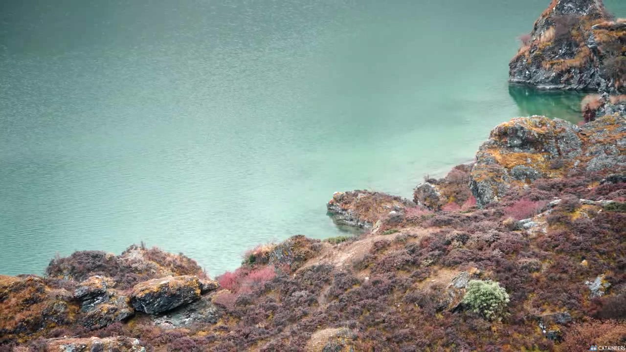 1125视频18 - COS.TV