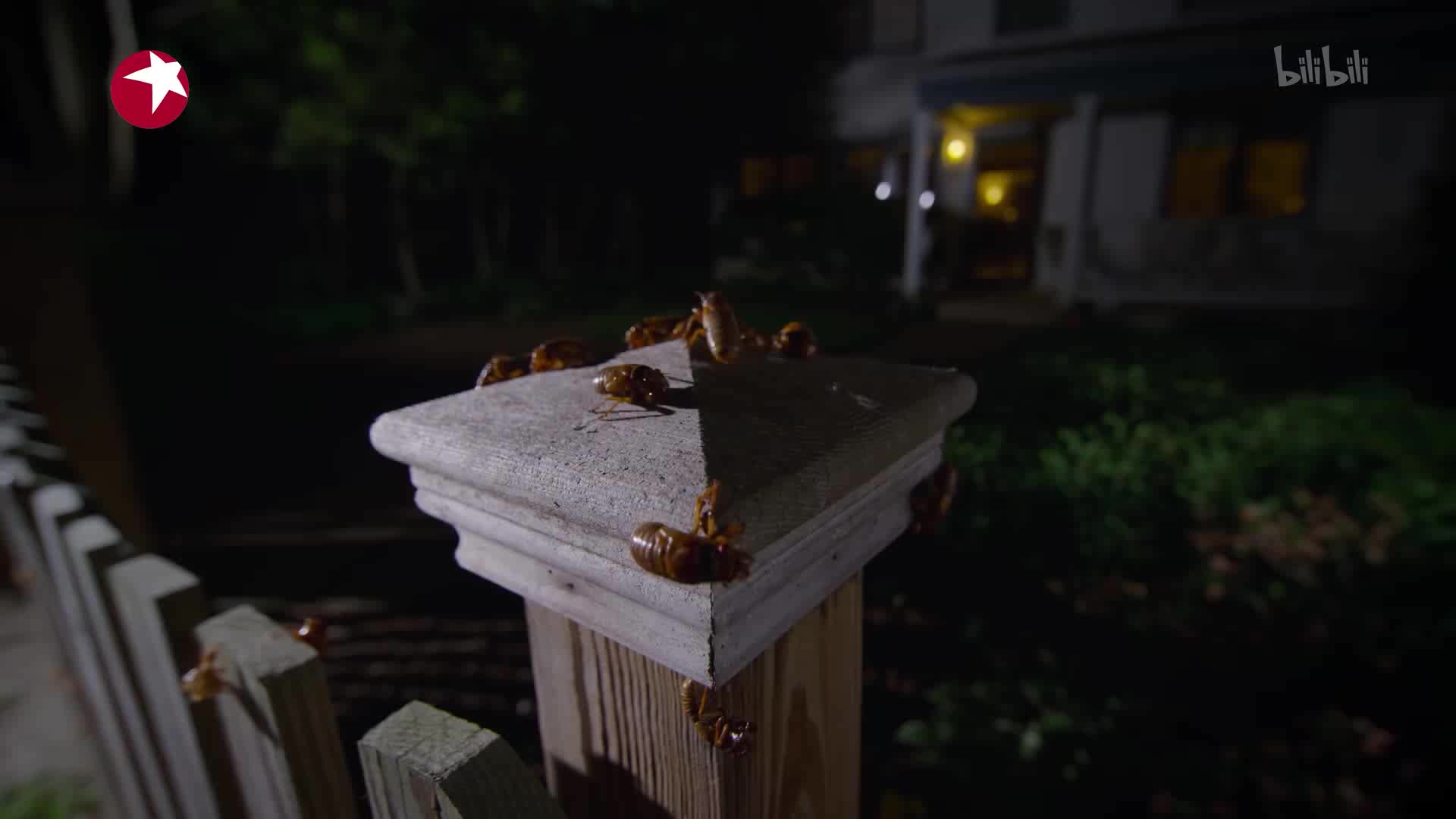 0725视频19 - COS.TV