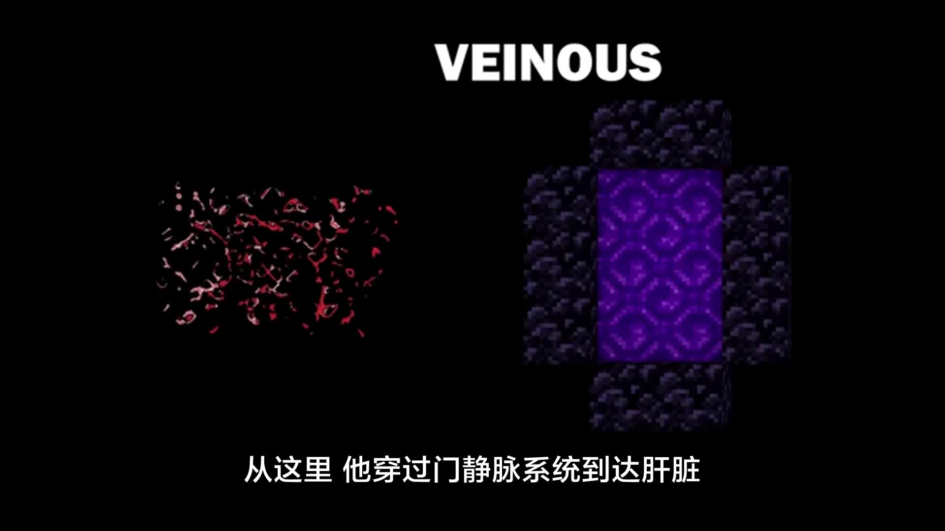 1121视频6 - COS.TV