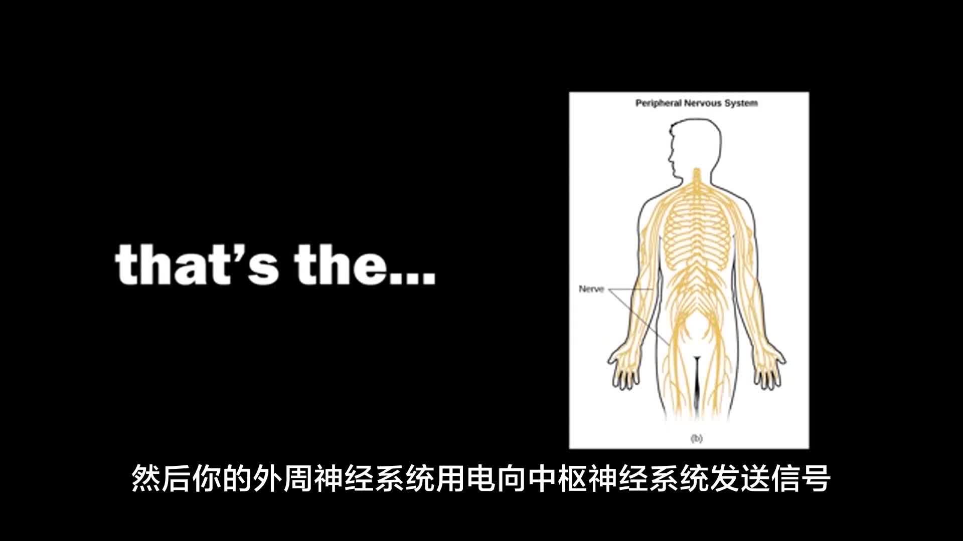 1121视频13 - COS.TV