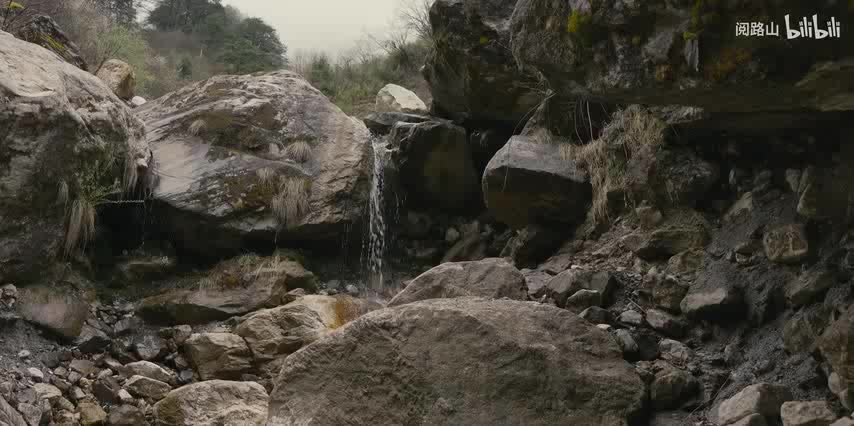 0422视频5 - COS.TV