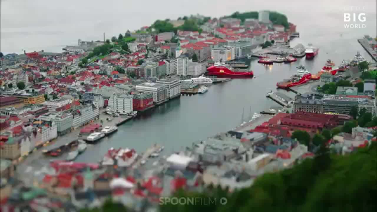 1125视频14 - COS.TV