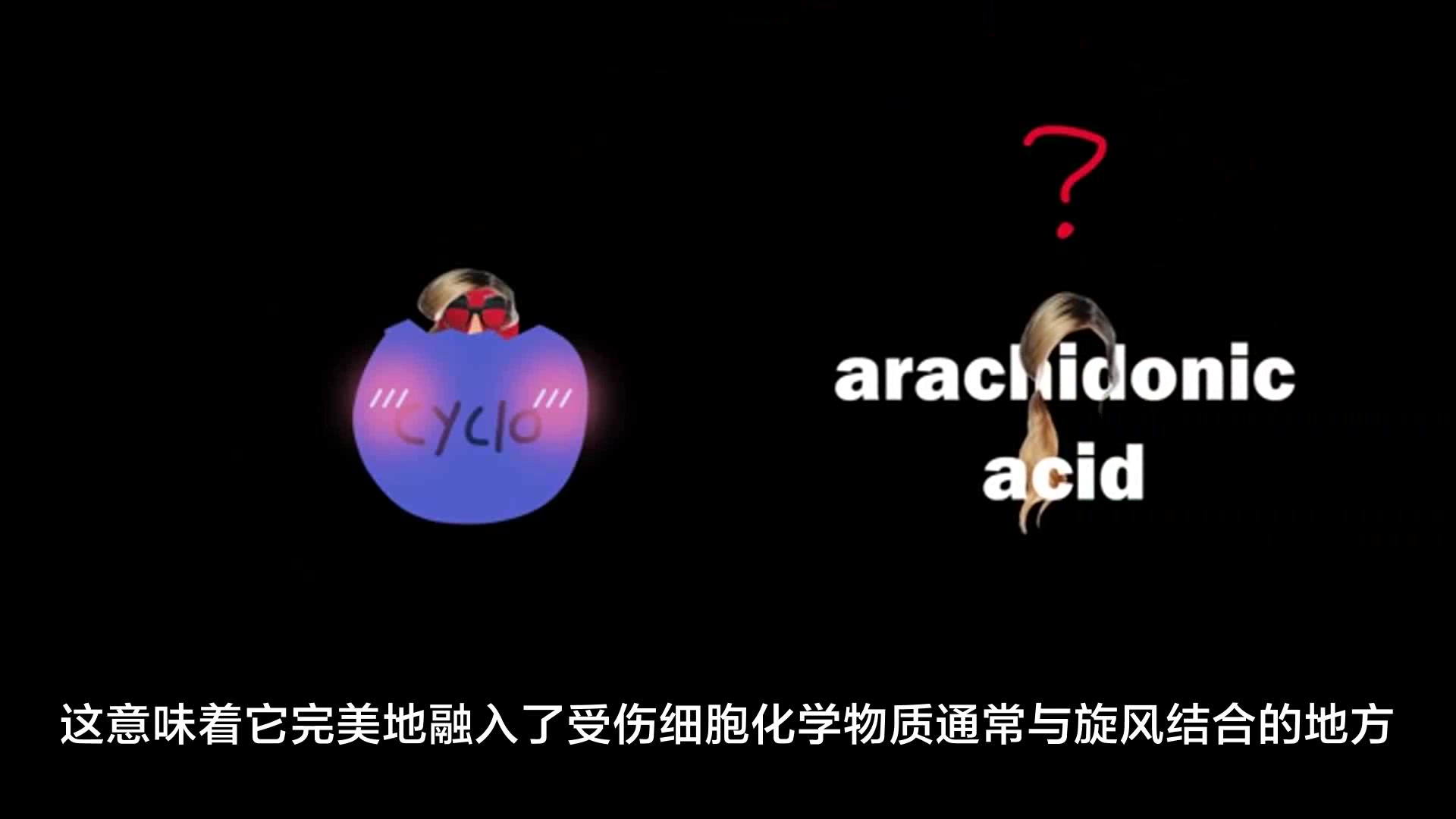 1121视频9 - COS.TV