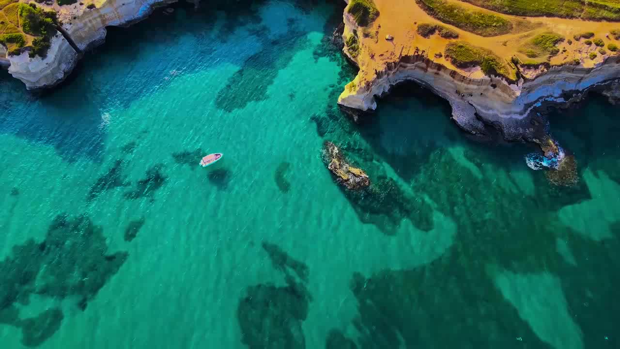 1128视频6 - COS.TV