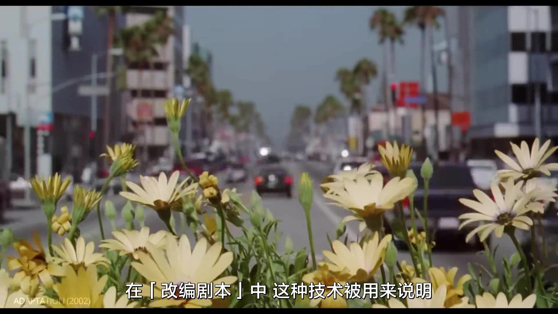 0113视频12 - COS.TV