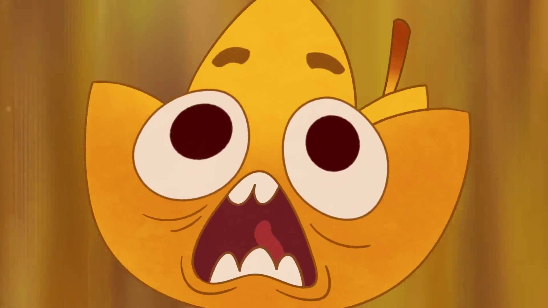 0205视频2 - COS.TV