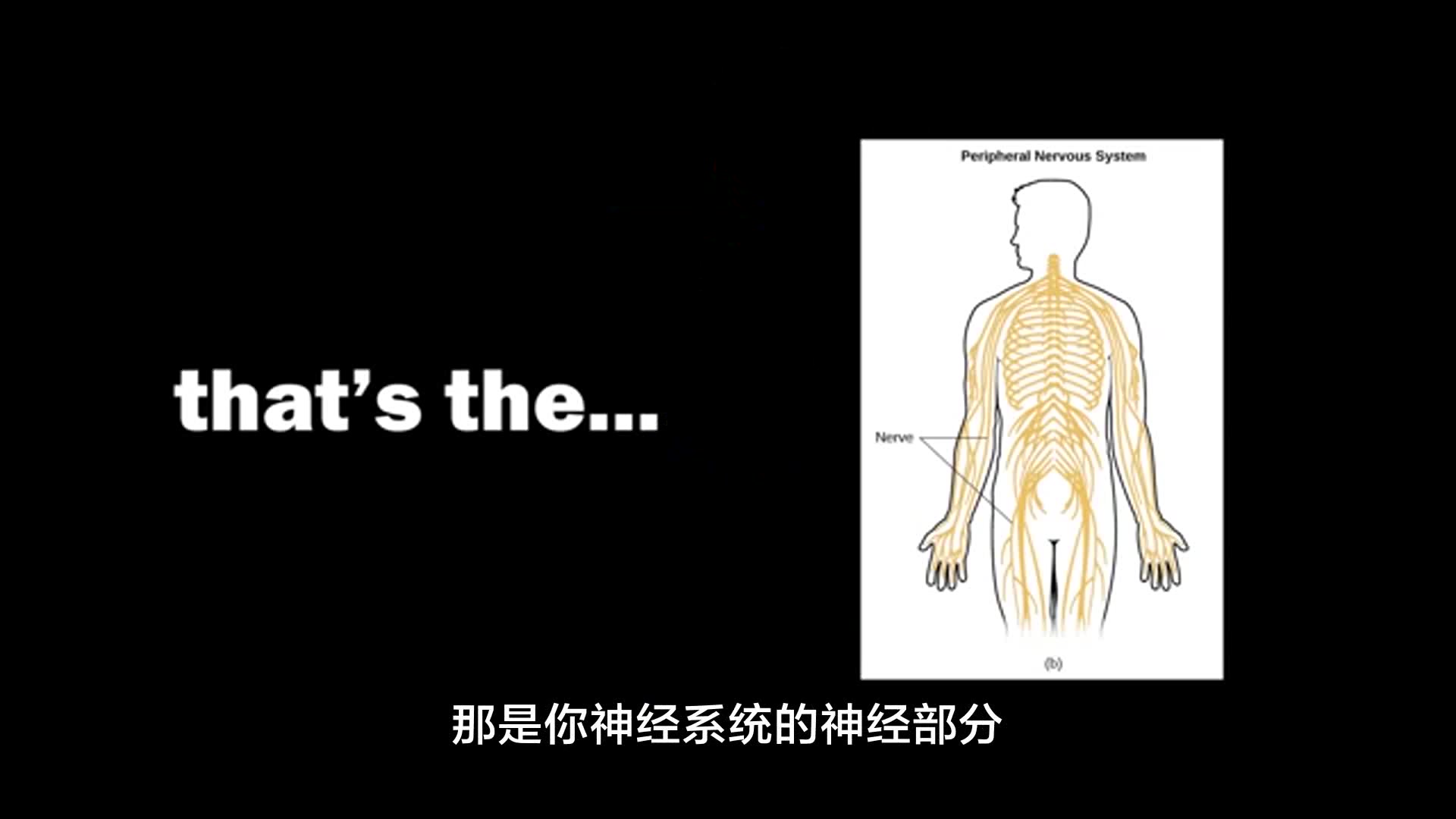 1121视频6 - COS.TV