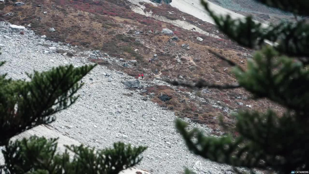 1121视频14 - COS.TV