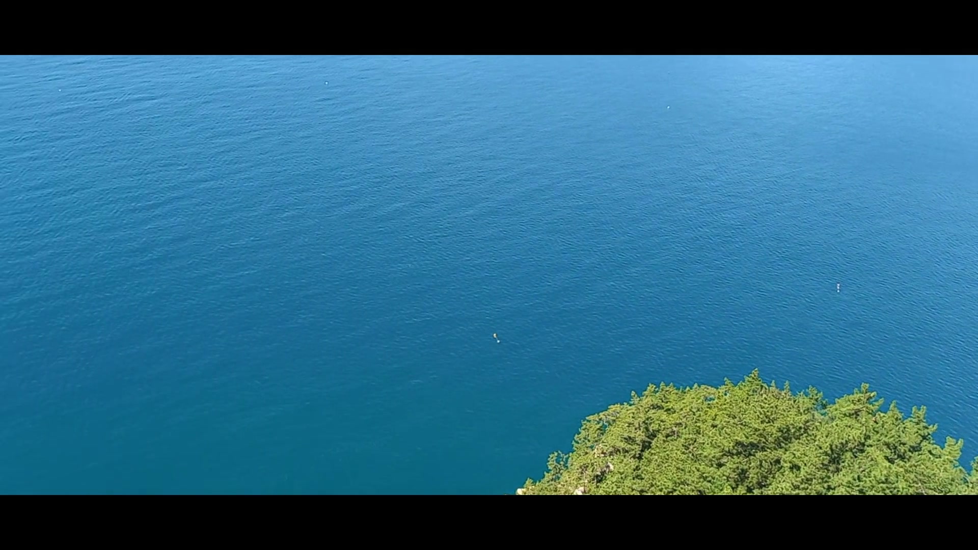 Blue Sea - COS.TV