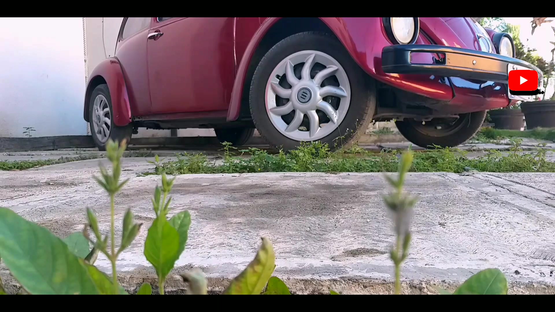 🙏👉 ESTO ME MOTIVA ME AYUDAS A TERMINAR - COS.TV