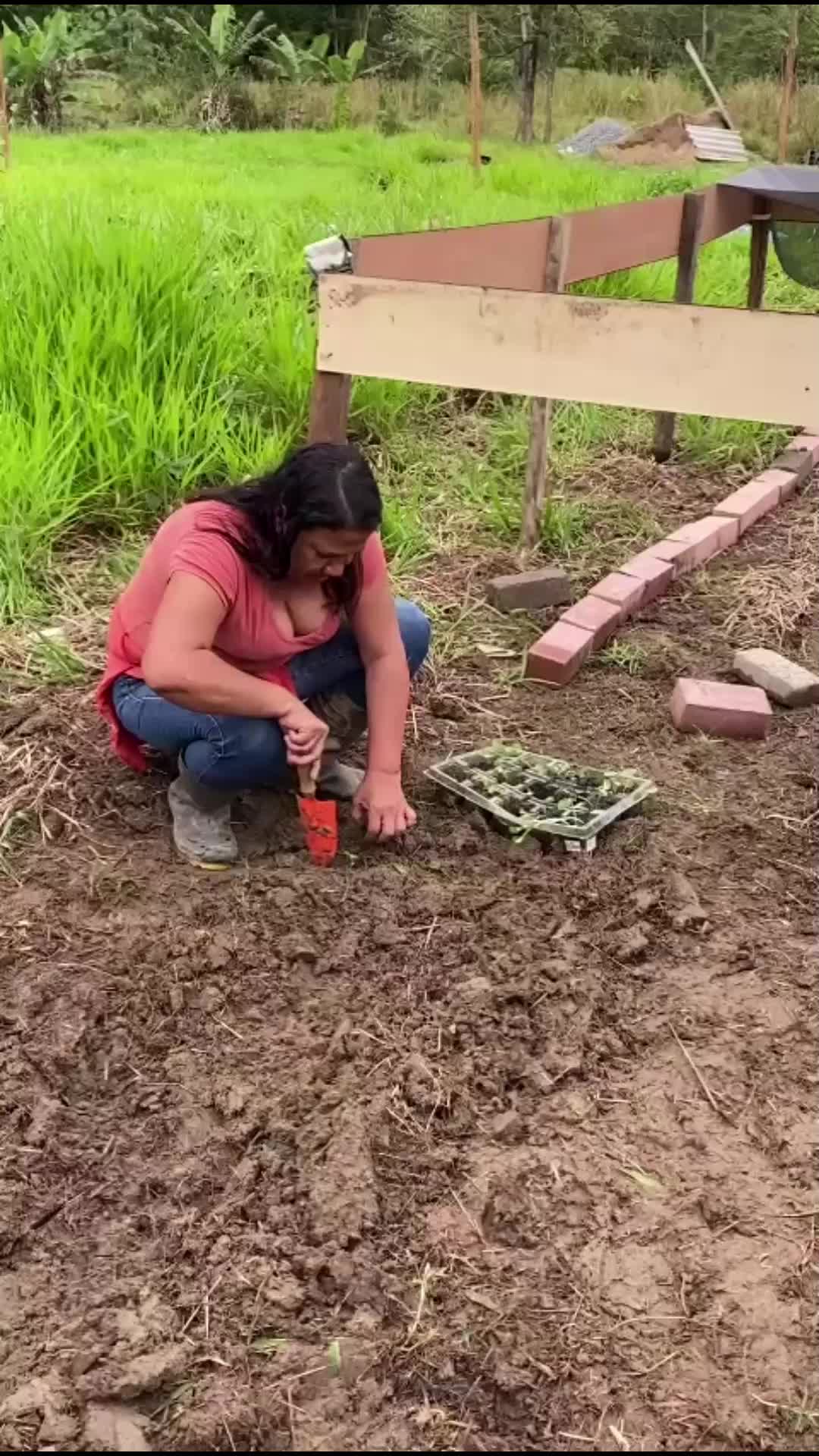 Plantando Mais Mudinhas Na Horta Cos Tv
