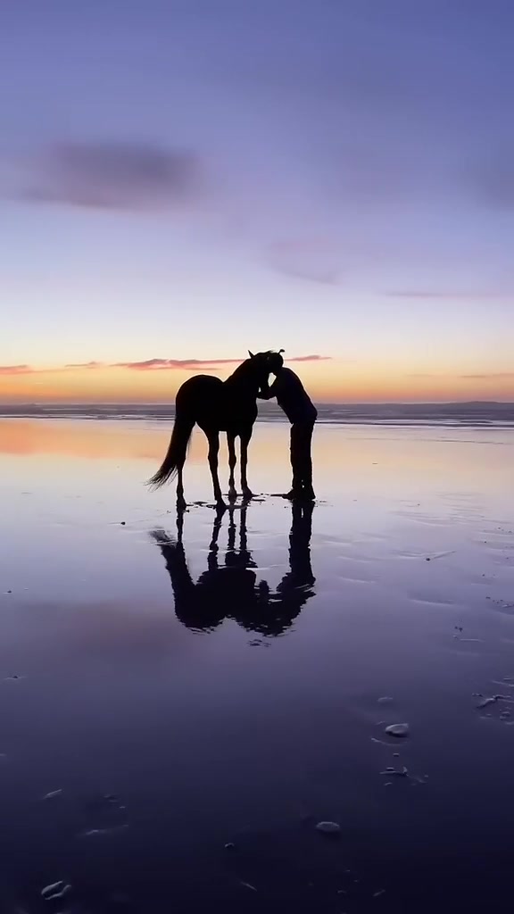 The Stallion Dance - COS.TV