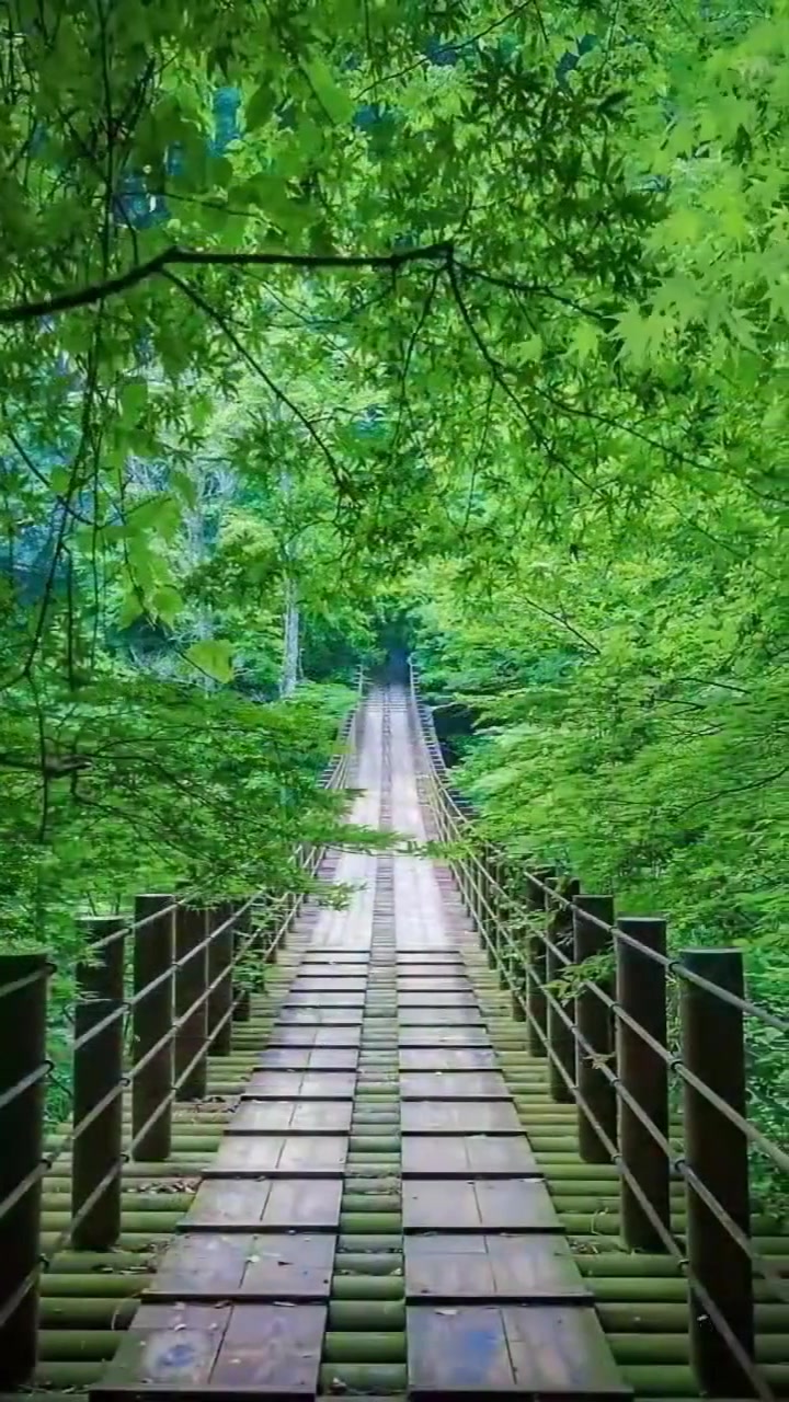 The amazing natural world - COS.TV