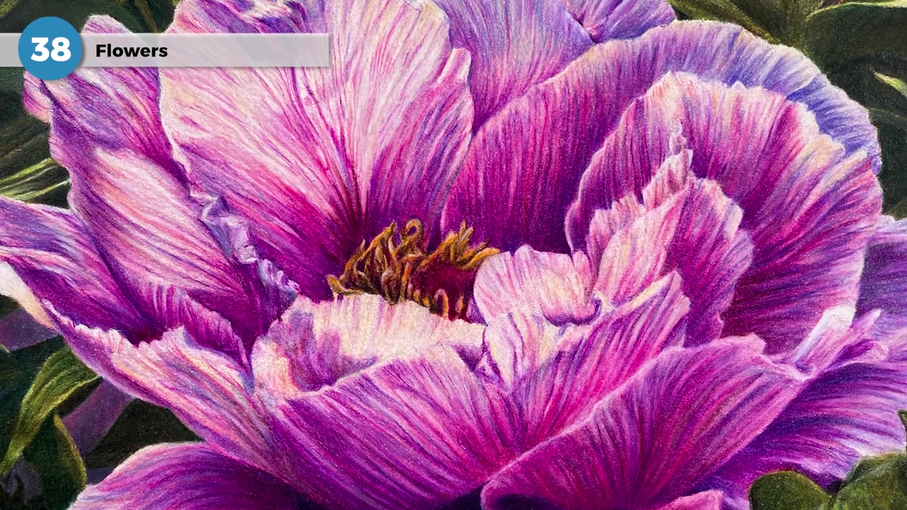 How to draw - COS.TV