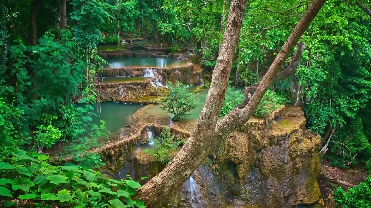 Beautiful Nature - Landscape - Background Video - No Copyright.mp4 - COS.TV