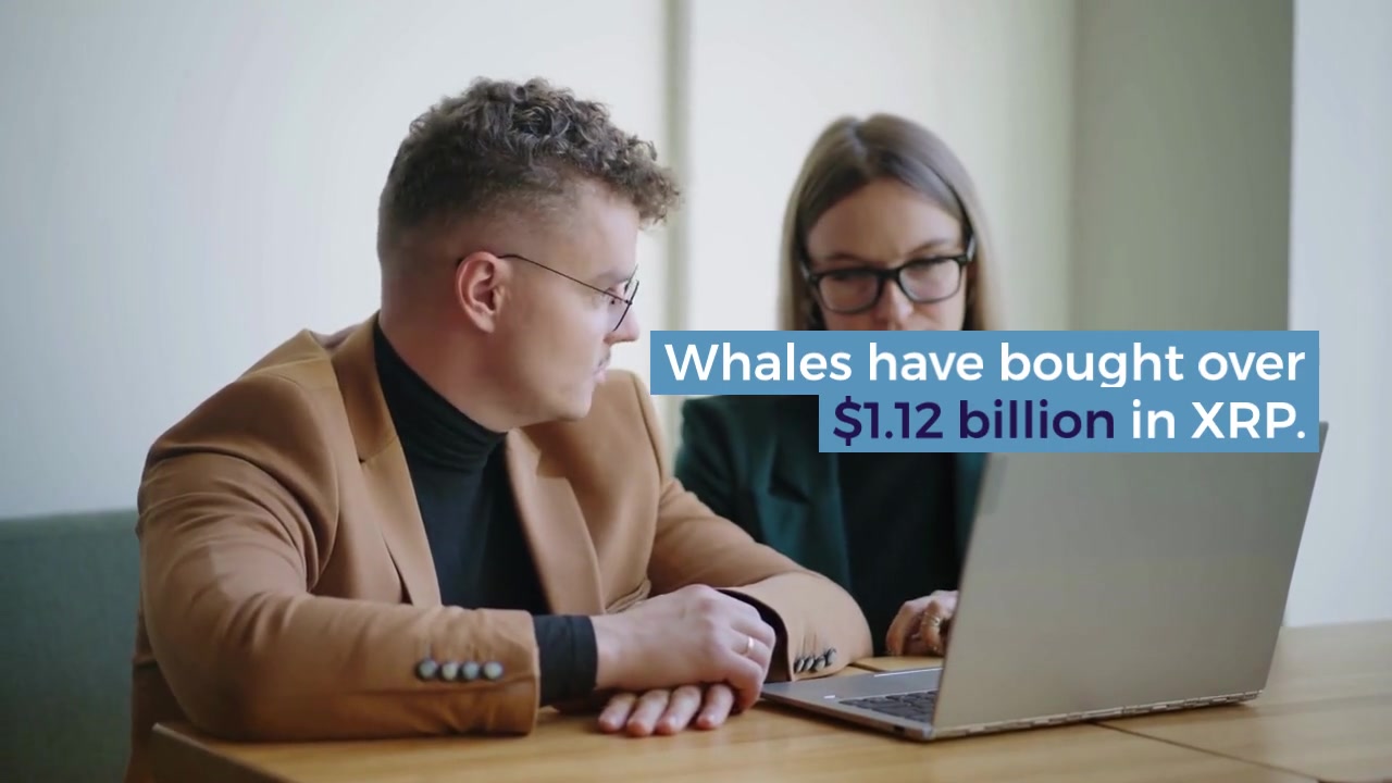 XRP Whales’ $1 Billion Accumulation Drives Price to 43-Month High - COS.TV