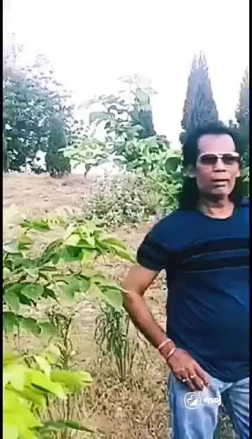 media_1748992355090085.mp4 - COS.TV