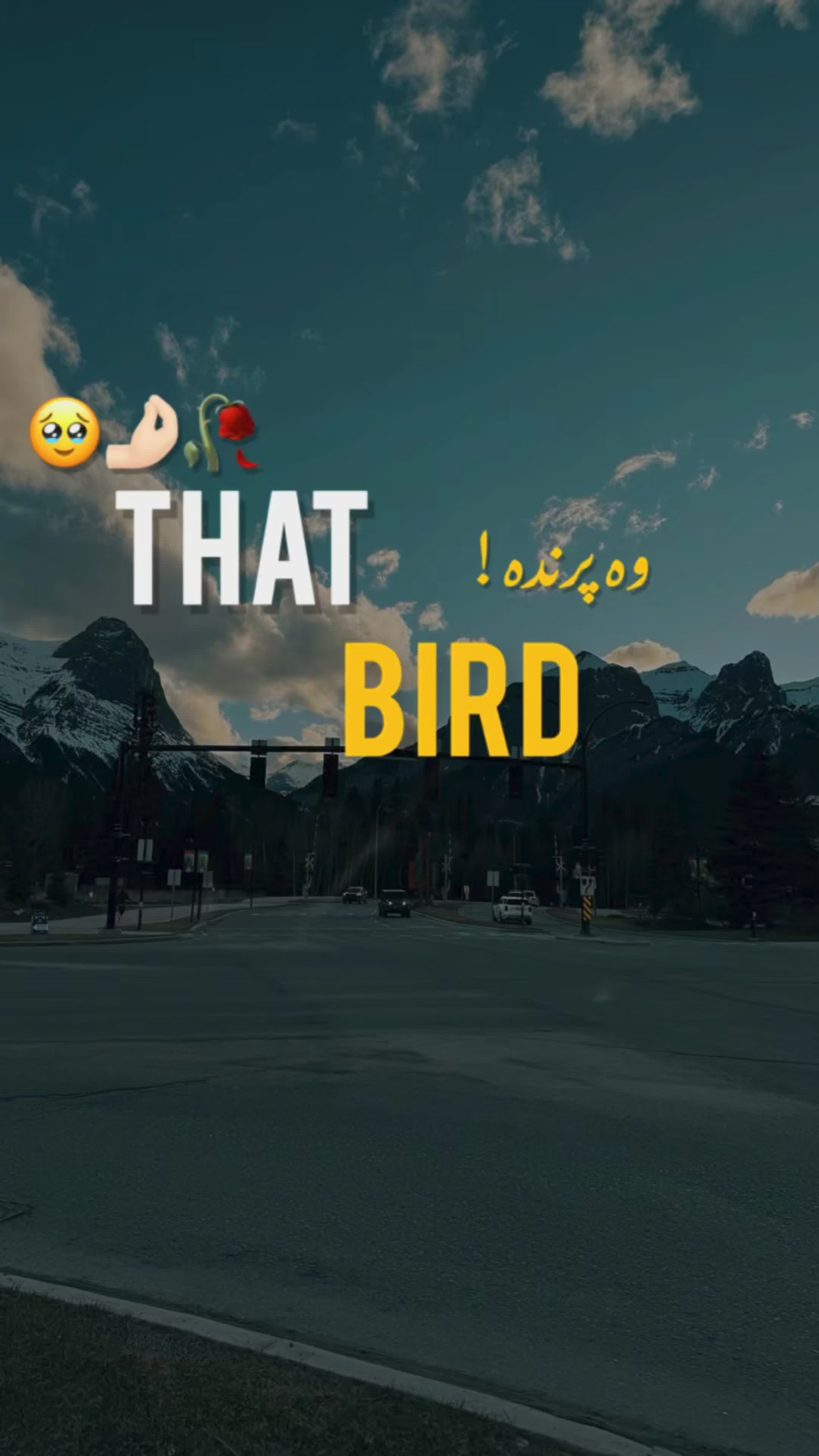 Aub Akela hi - COS.TV