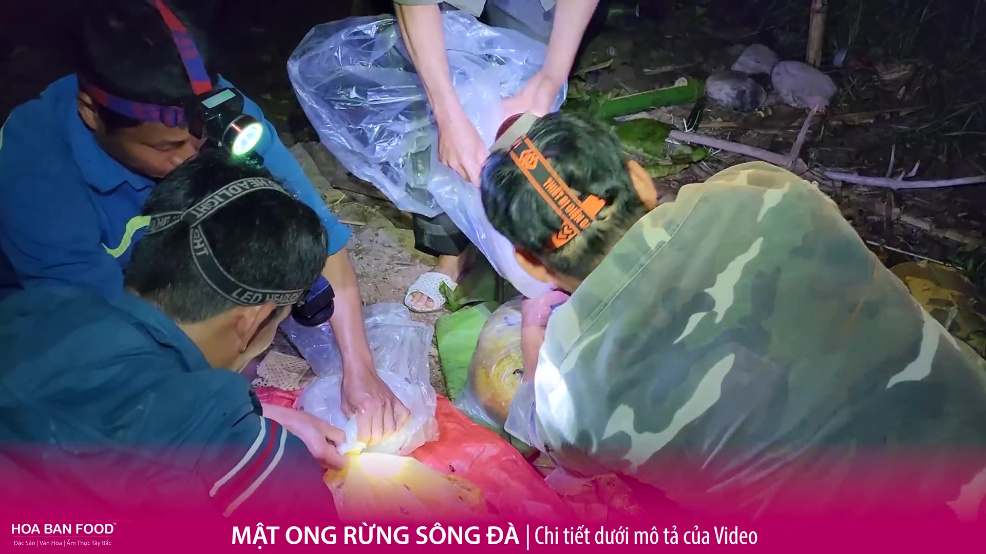 Hunter at night - Episodes 2 - Jungle memories - COS.TV