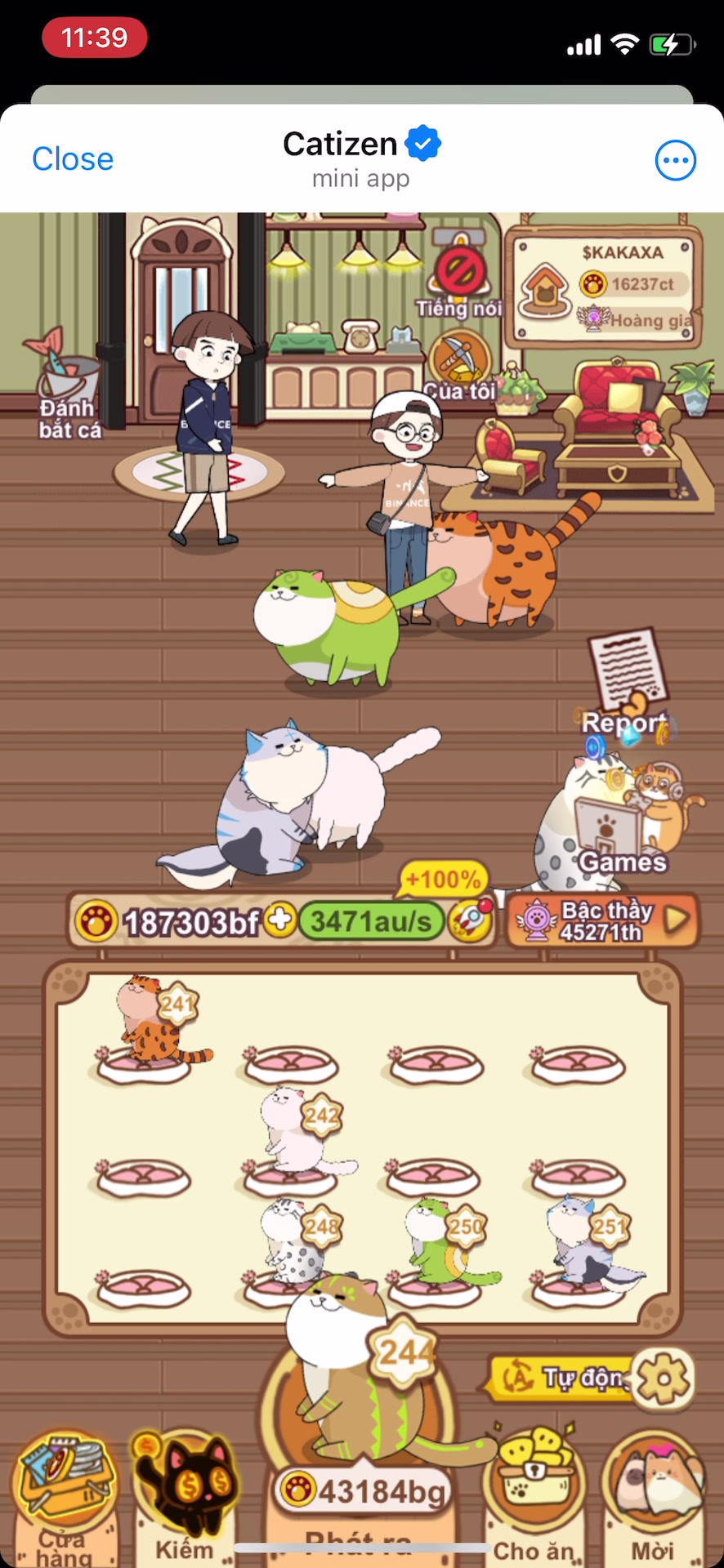 Catizen listing 20/09 - COS.TV