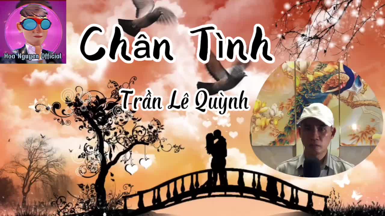 Chân Tình _ ST: Trần Lê Quỳnh | Hoa Nguyen Official - COS.TV