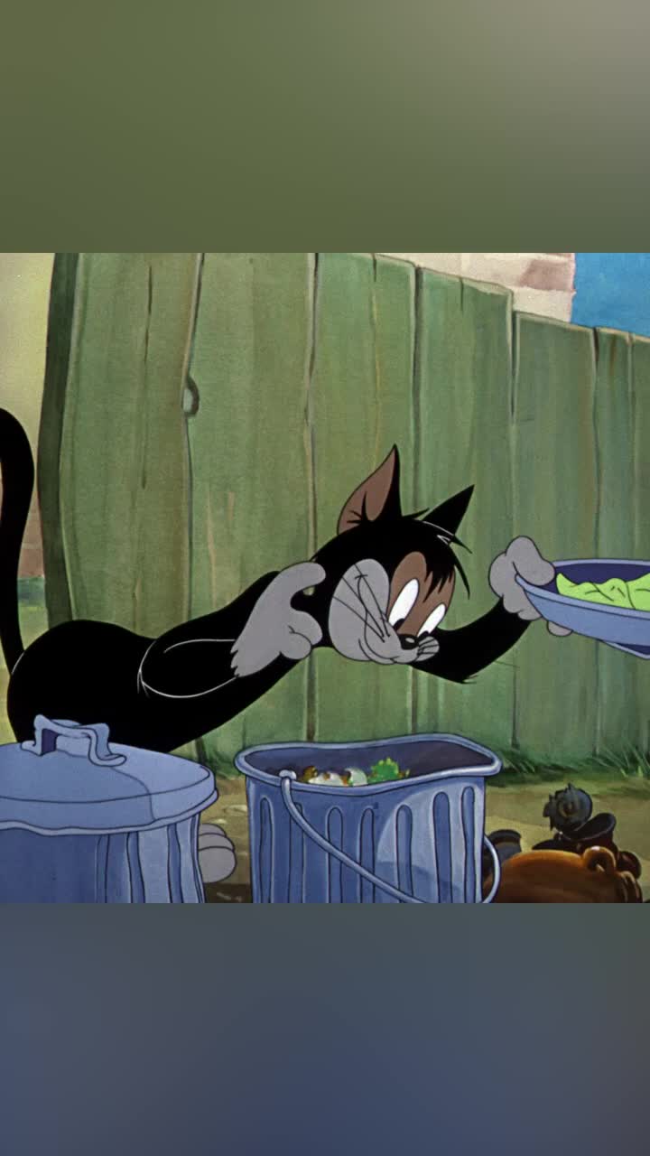 Tom y Jerry - COS.TV