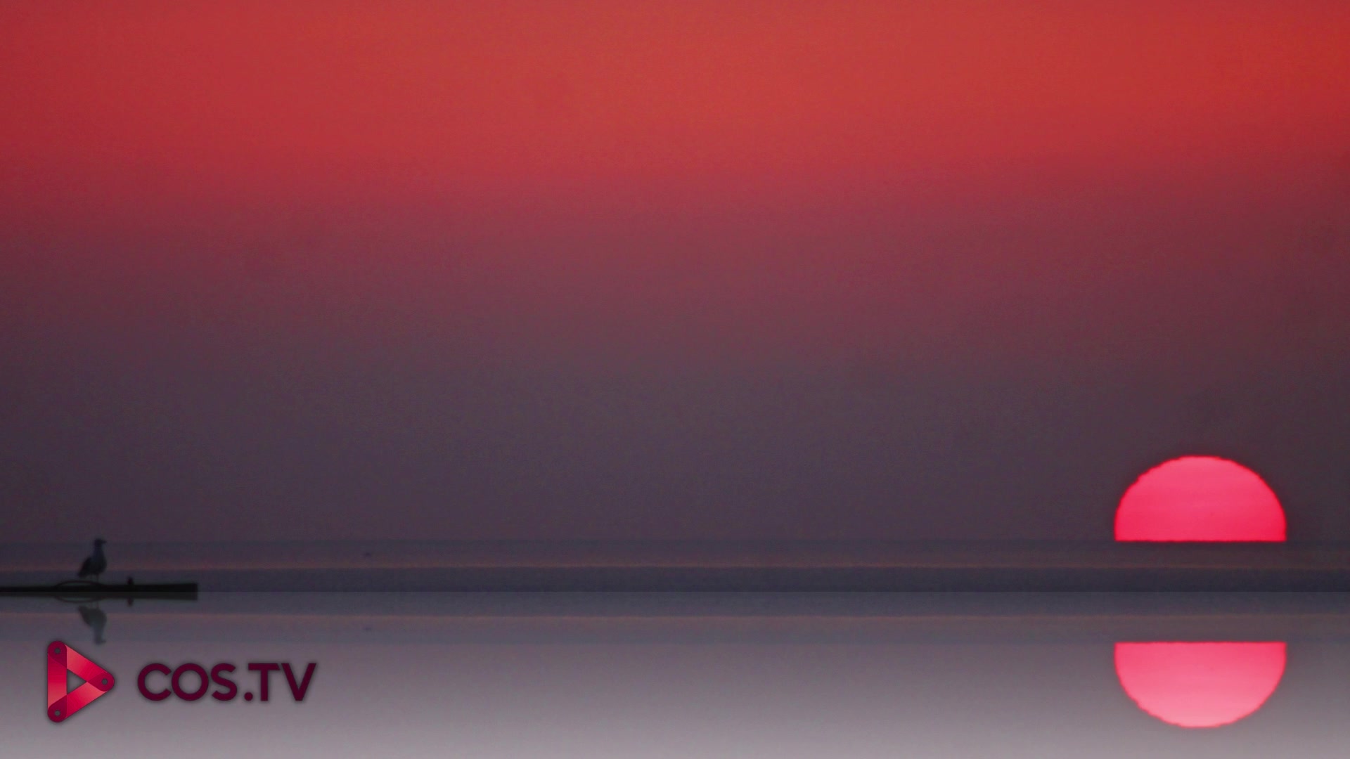 61.mp4 - COS.TV