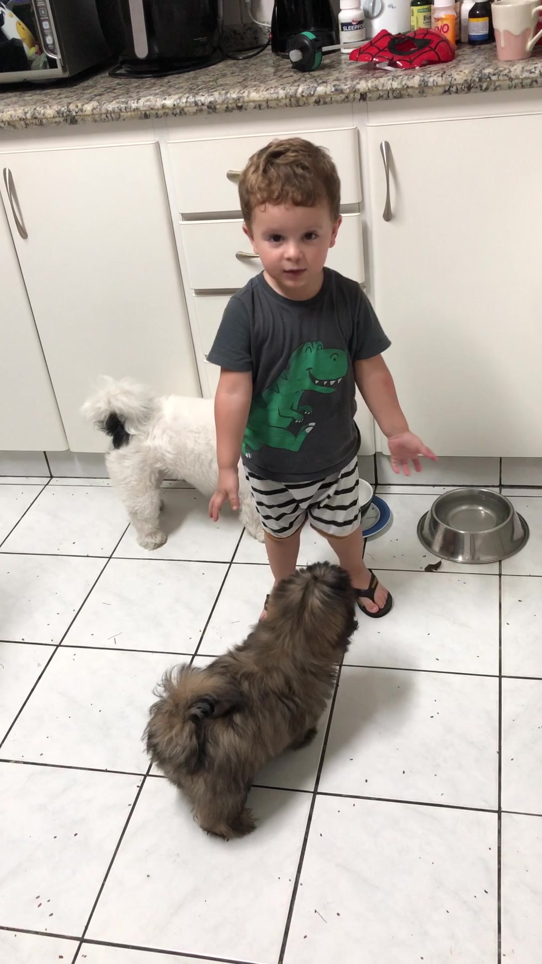 Bubu dando “papa” - COS.TV