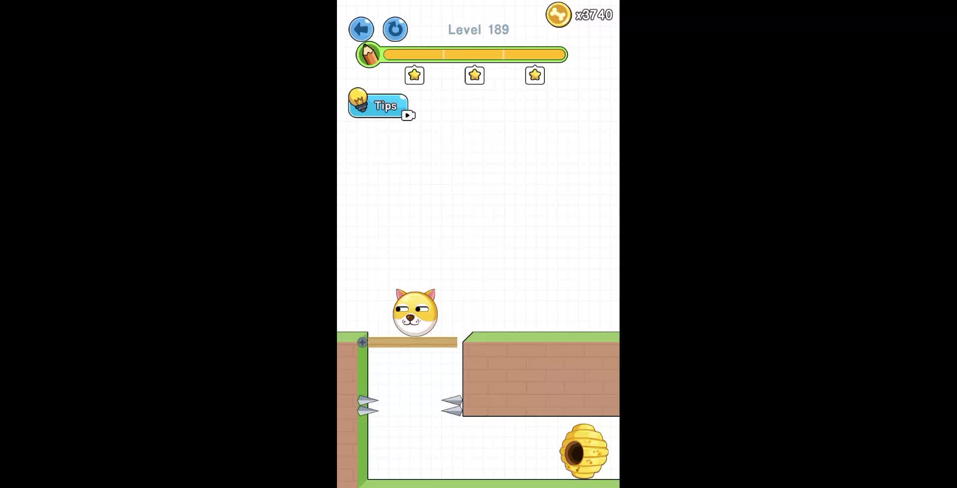 LEVEL 189 Yamil Gameplays in SAVE THE DOGE - COS.TV