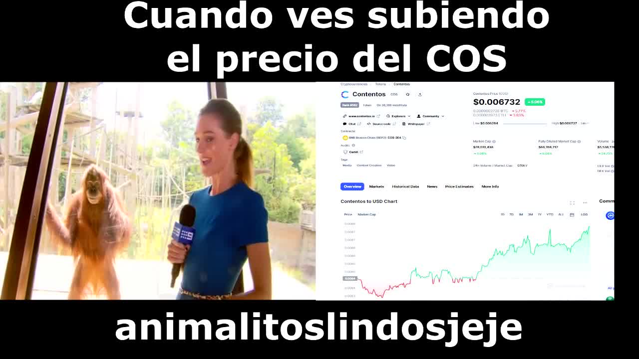 COS.TV MEMES #74 #BallenitaFeliz - COS.TV