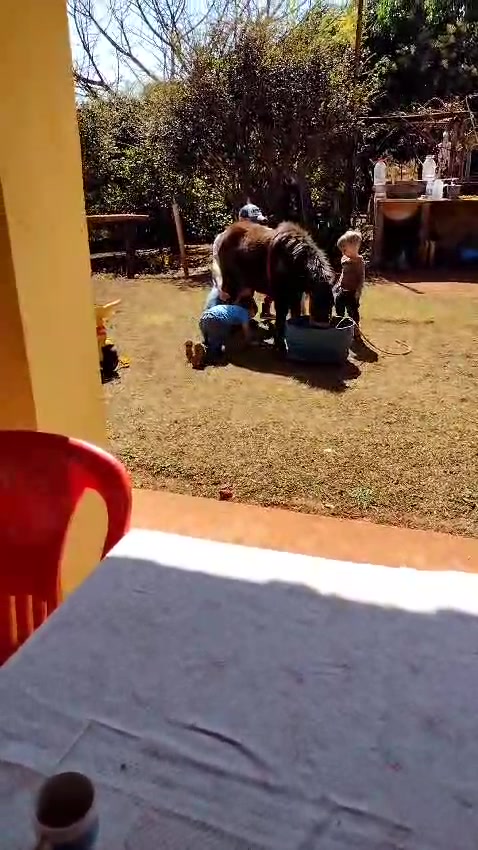 Bubu no interior - COS.TV