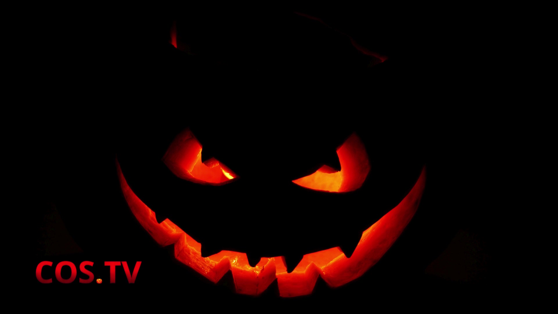 78.mp4 - COS.TV