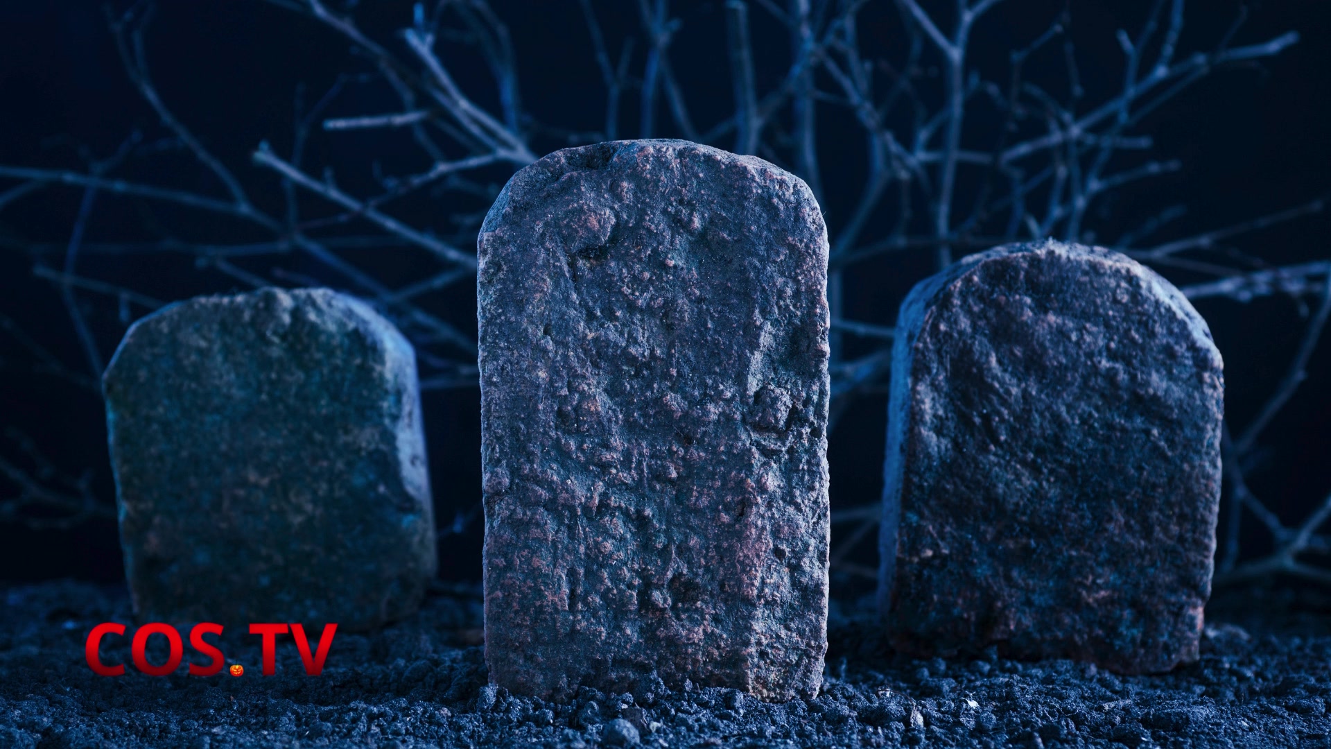53.mp4 - COS.TV