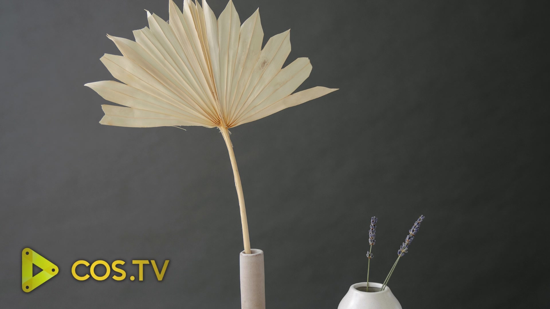 95.mp4 - COS.TV