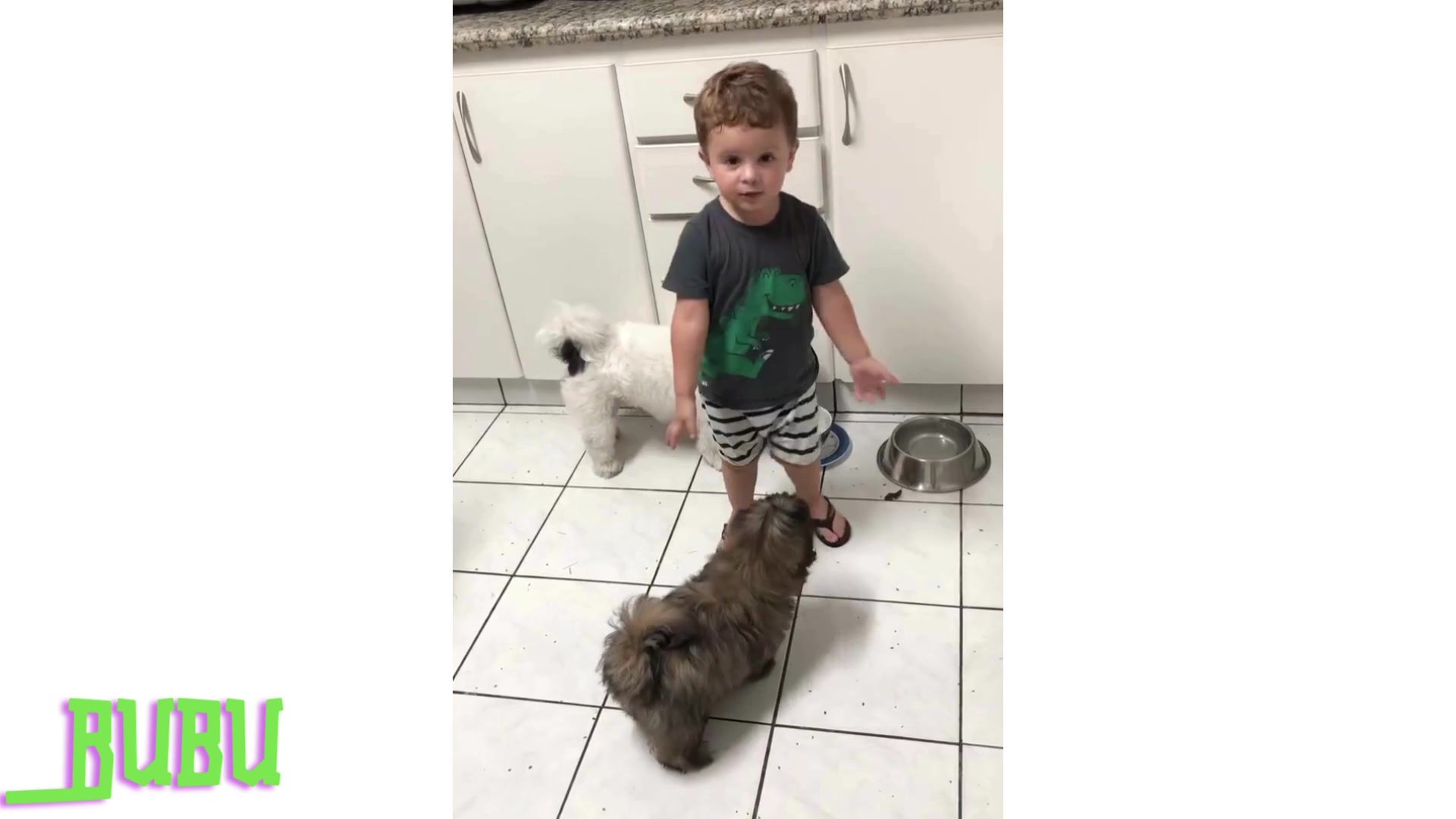 Bubu alimentando Robson e Ronaldo ️ - COS.TV