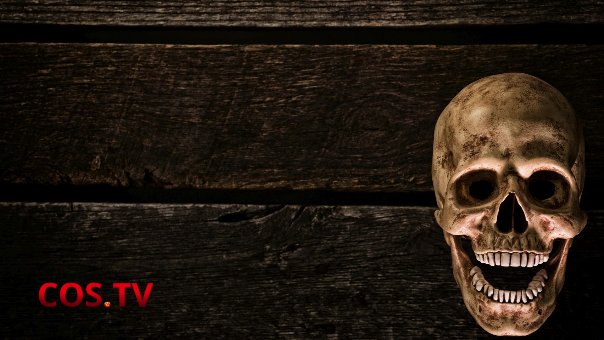 83.mp4 - COS.TV