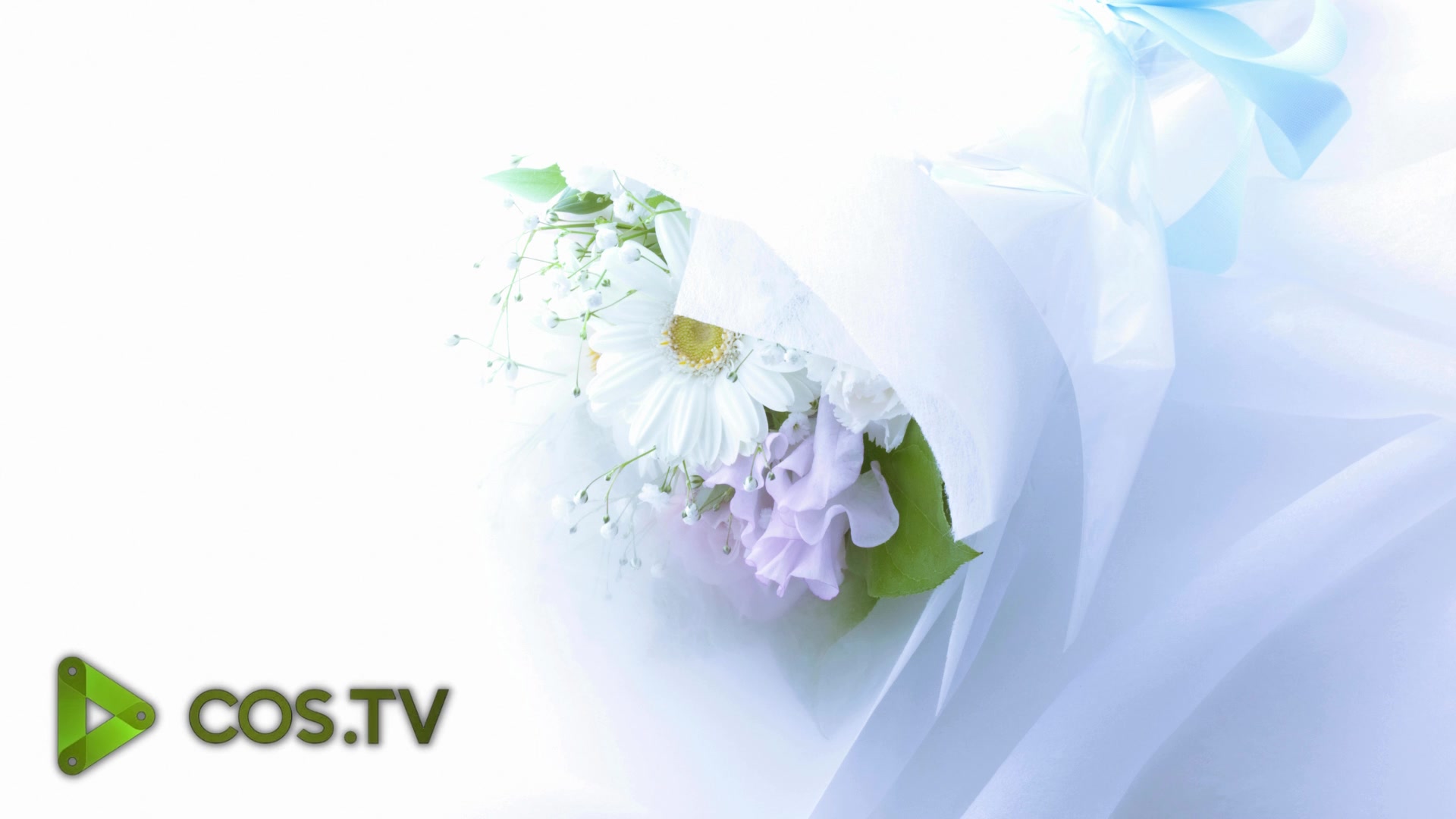 32.mp4 - COS.TV