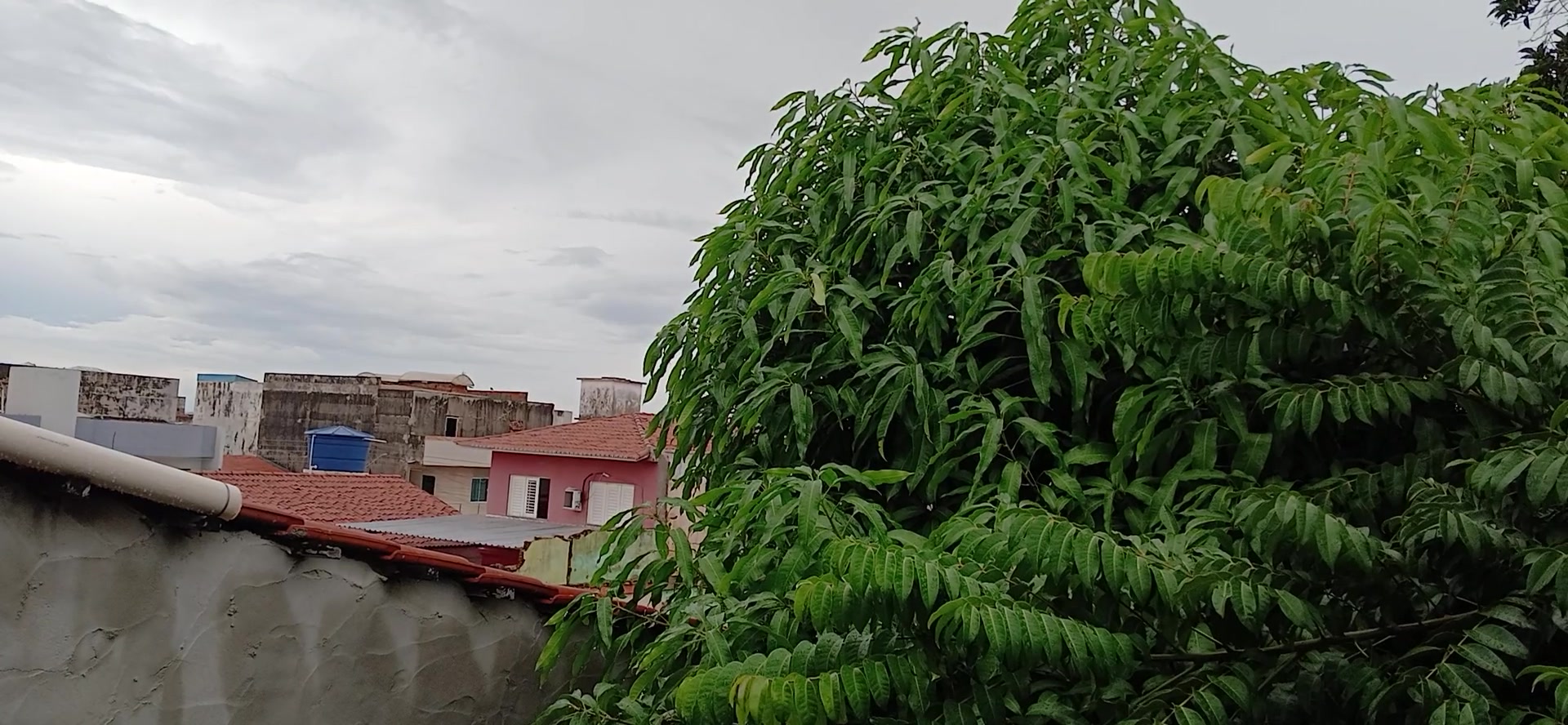 POSTING UNTIL I'M MILLIONAIRE | DAY 227 - COS.TV