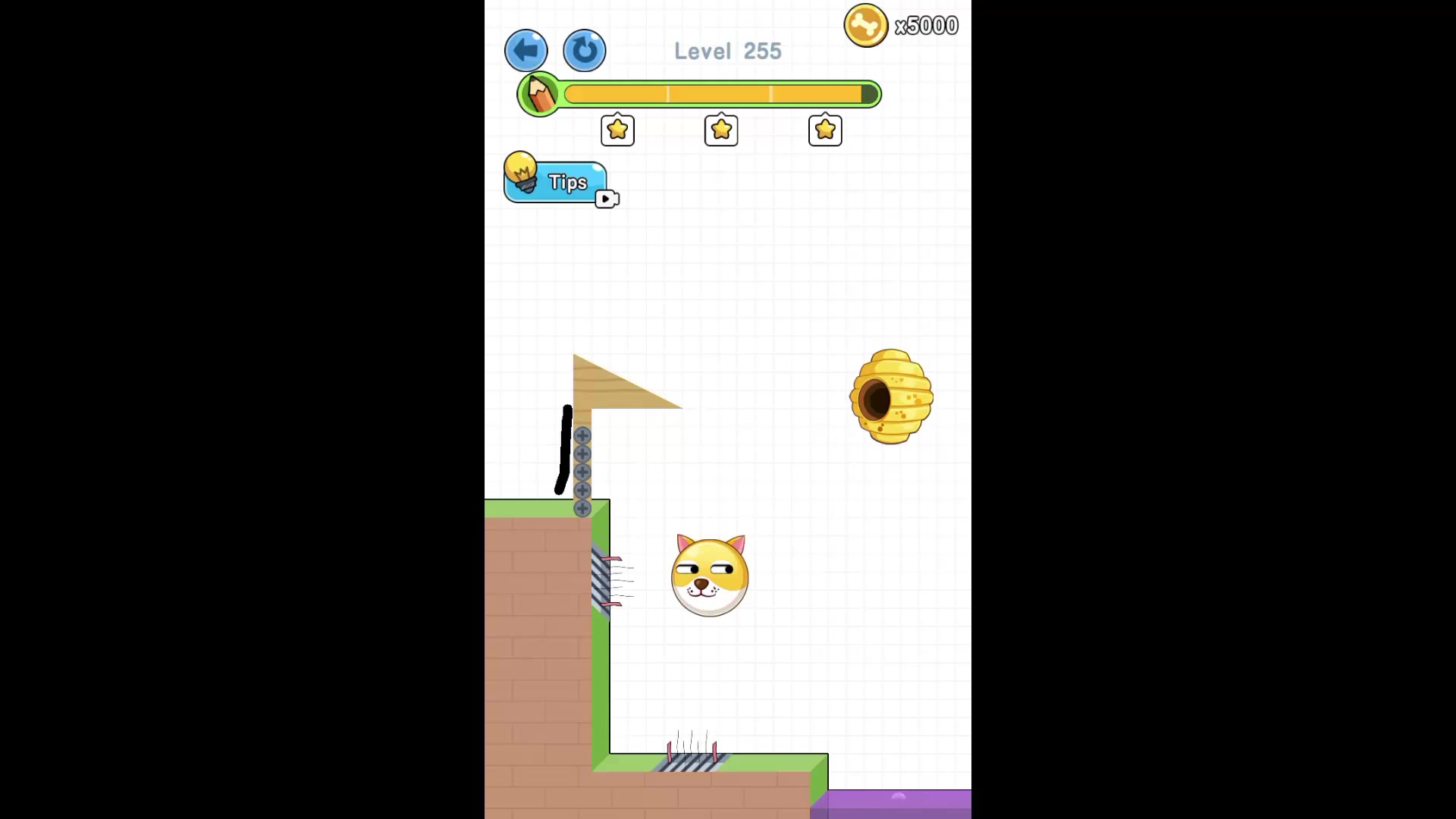 LEVEL 255 fail 1 Yamil Gameplays in SAVE THE DOGE - COS.TV