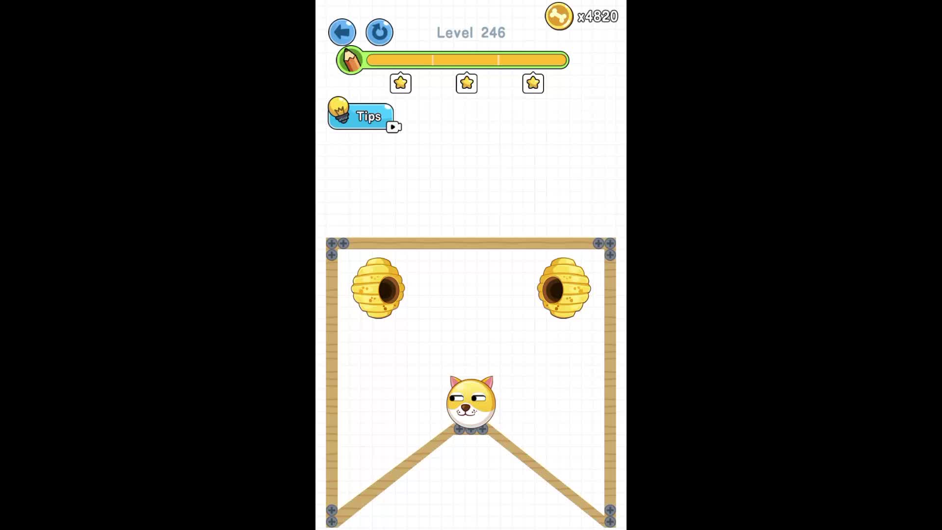 LEVEL 246 Yamil Gameplays in SAVE THE DOGE - COS.TV
