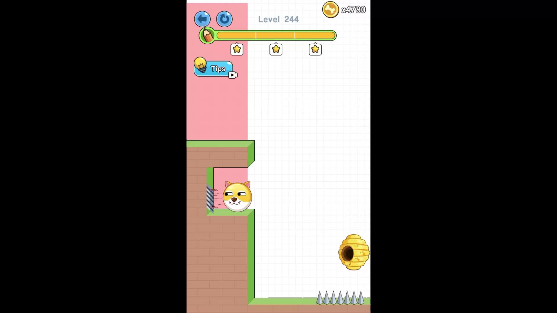 LEVEL 244 Yamil Gameplays in SAVE THE DOGE - COS.TV
