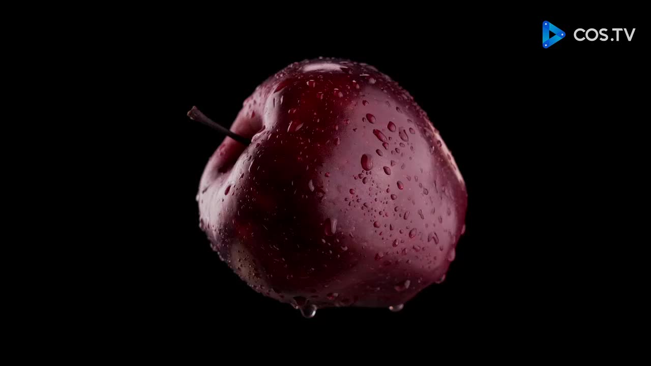 Paisagem 91 - COS.TV