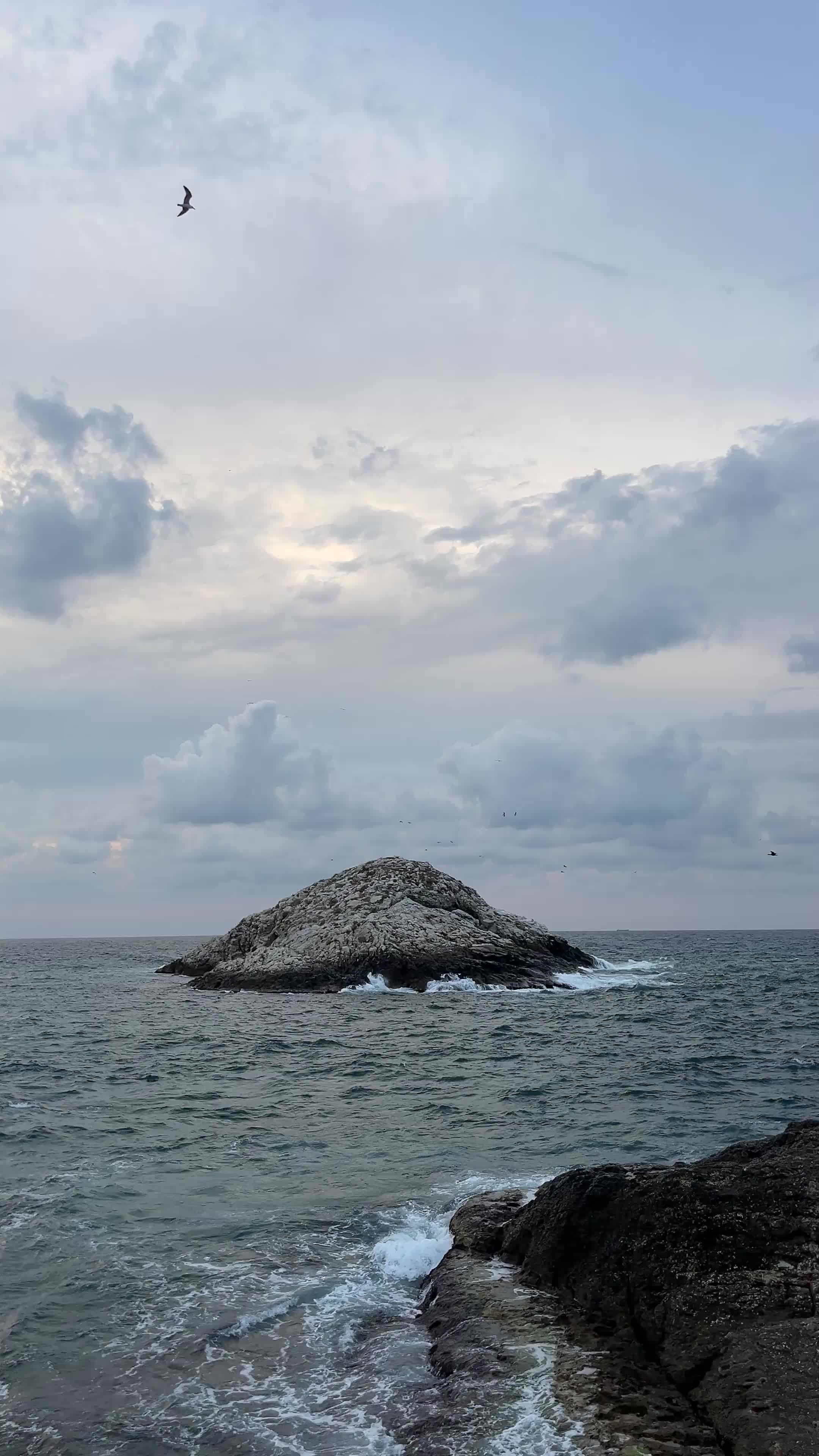 Paisagem 692 - COS.TV