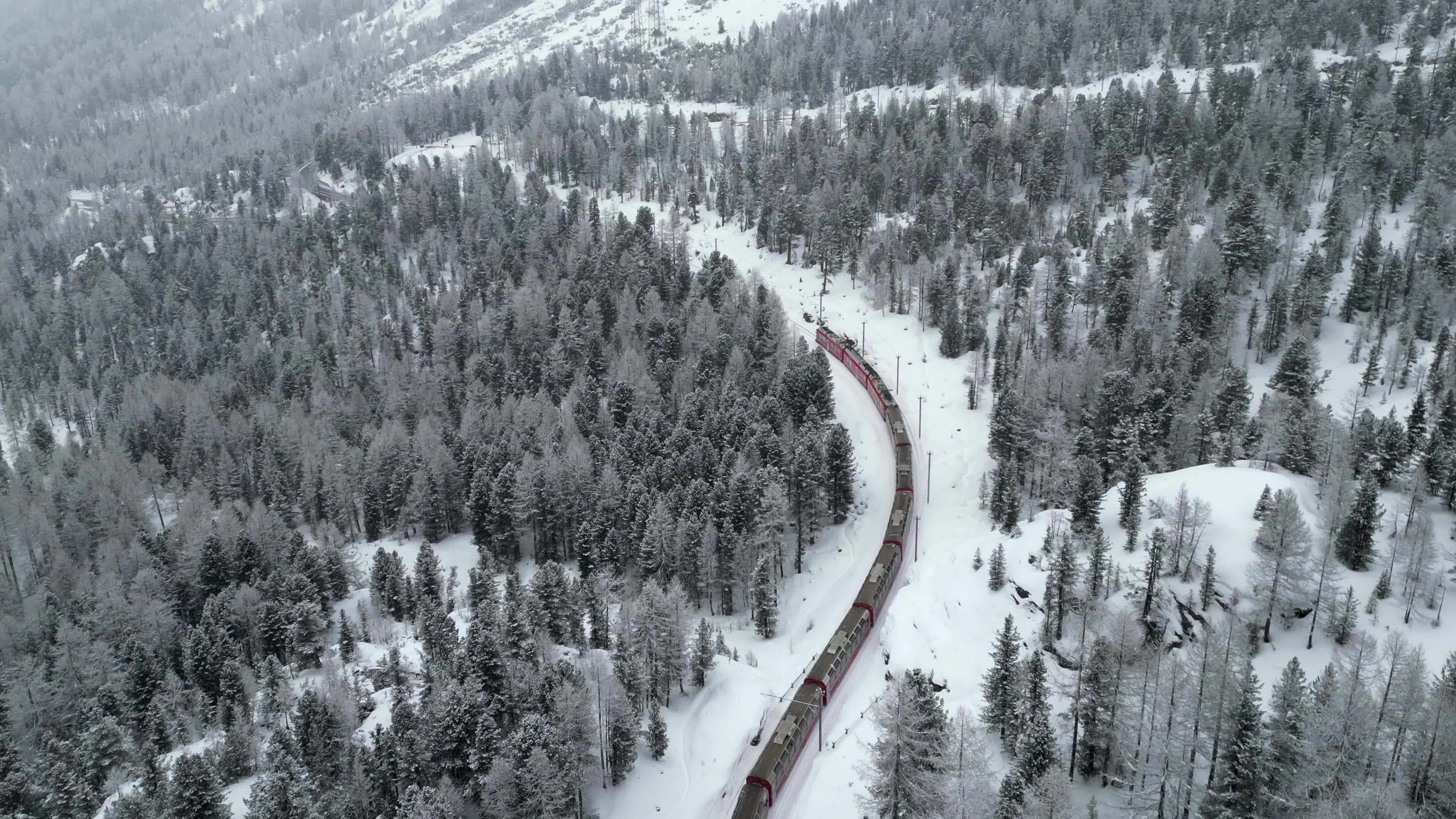 Oskar Gross 17 - COS.TV