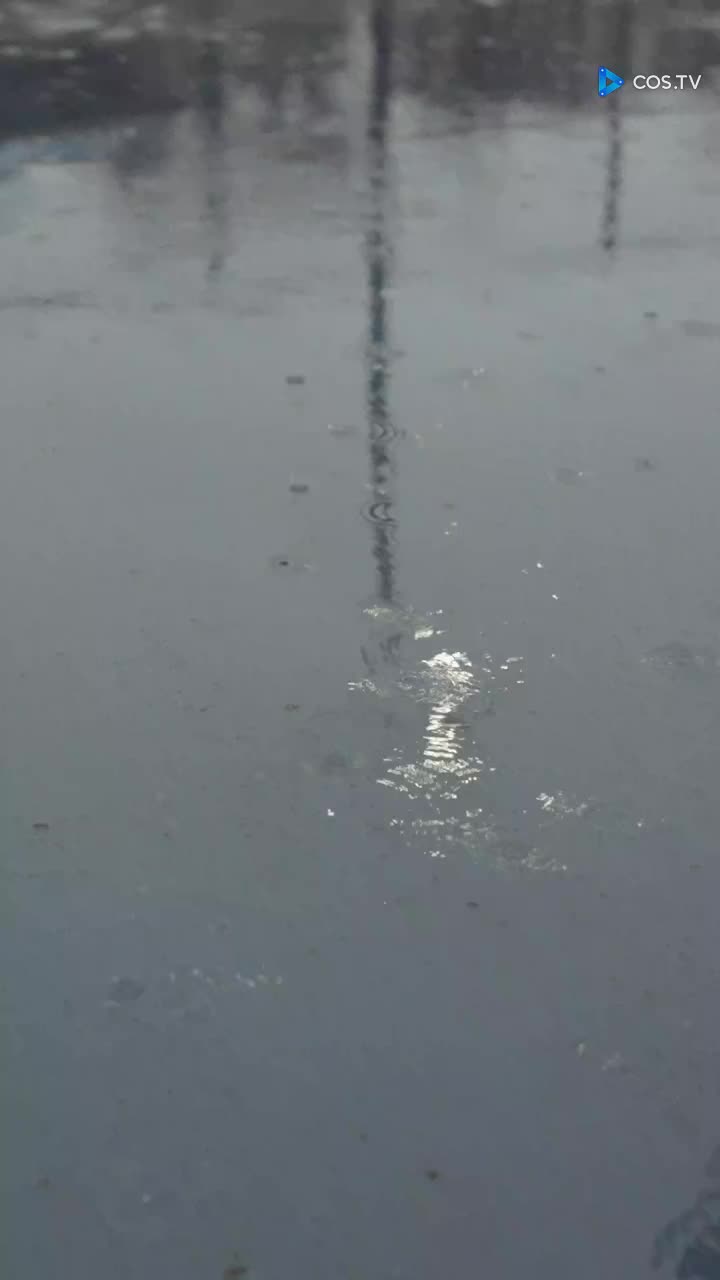 Paisagem 430 - COS.TV